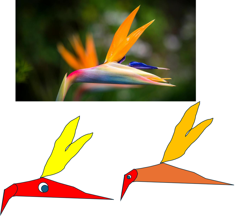 A paradigm shift in paradise – The Mindful Migraine